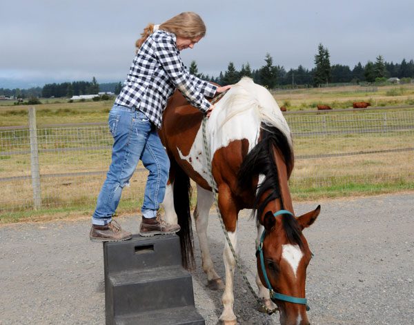 Felisa Holmberg | Equine Rolfing SI